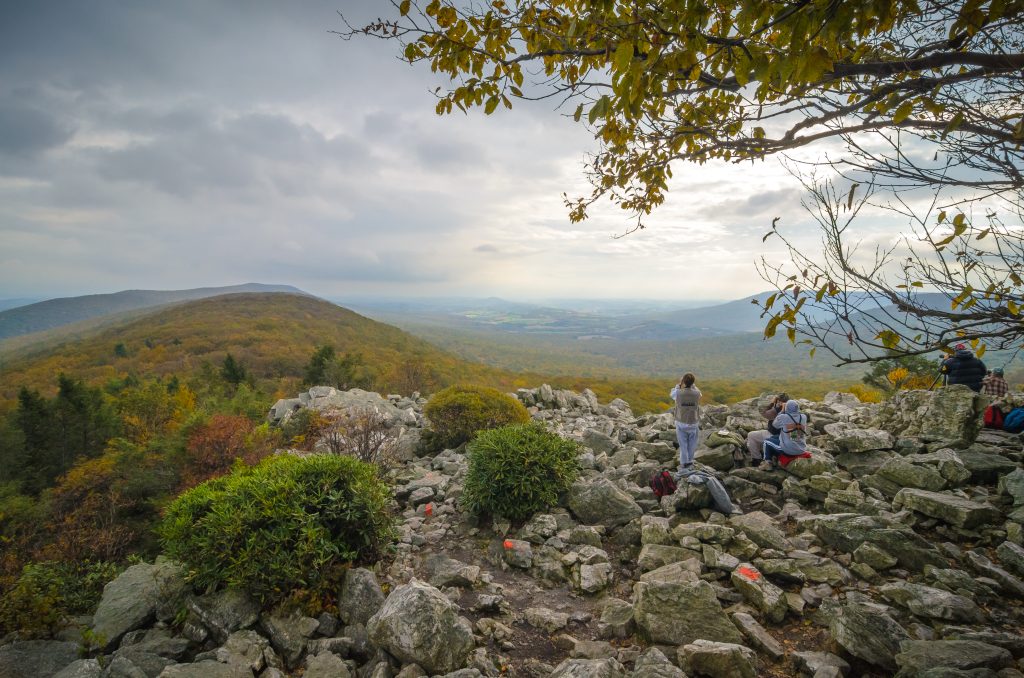 Discover 22 Breathtaking Spots for Hawk Migration Along Blue Ridge Parkway