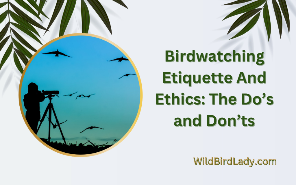 Birdwatching Etiquette And Ethics: The Do's and Don'ts.