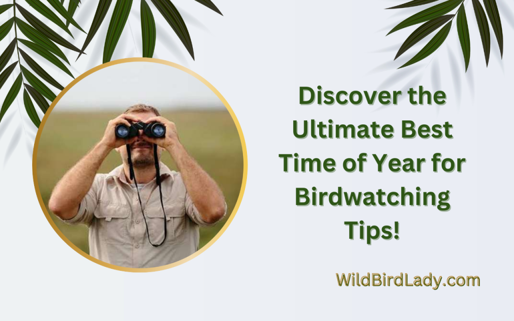 Discover the Ultimate Best Time of Year for Birdwatching Tips!