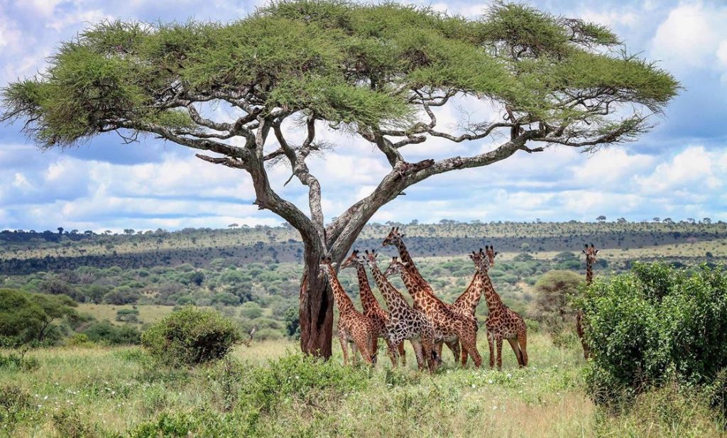 Birdwatcher's Paradise: 14 Essential Spots for Vermont Birding