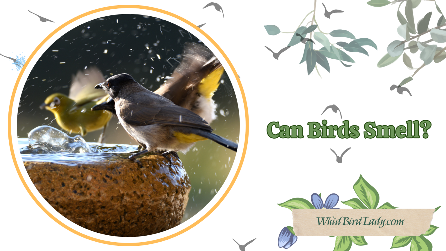 Can Birds Smell? The Surprising Truth About Their Secret Sense of Smell