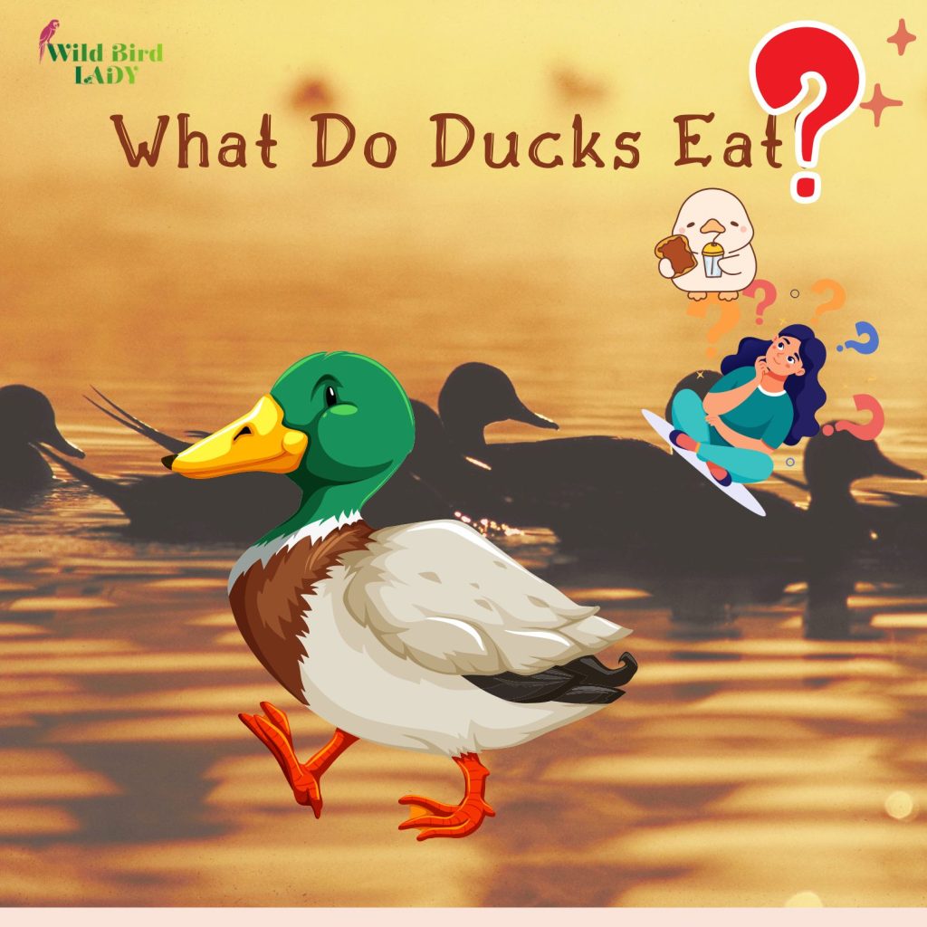 What Do Ducks Eat? The Complete Guide to a Duck’s Diet (With Pictures!)