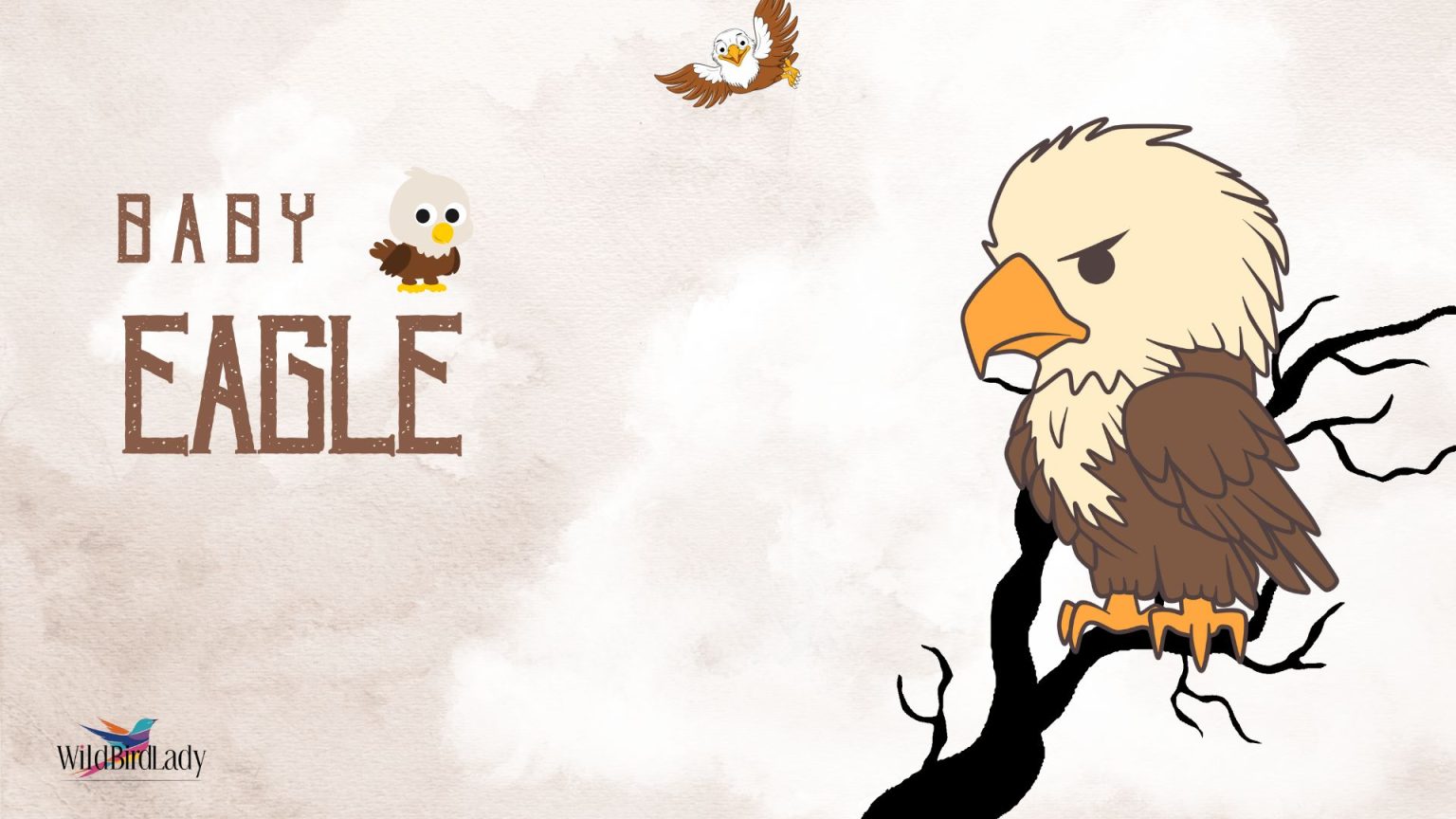 Baby Eagle: Everything You Need to Know About These Majestic Chicks