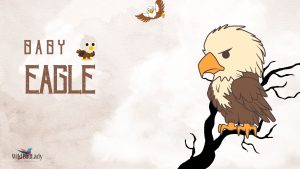 Baby Eagle: Everything You Need to Know About These Majestic Chicks